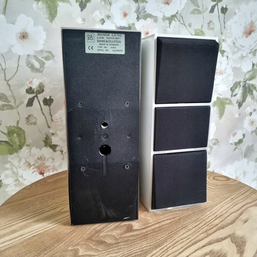 Kolumny Bang & Olufsen Beovox CX100 srebrne para - 15202361116 ...