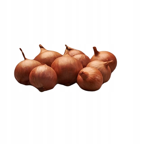 Cebula DYMKA szalotka GOLDEN GOURMET 250g duże sadzonki - 15130824640 ...