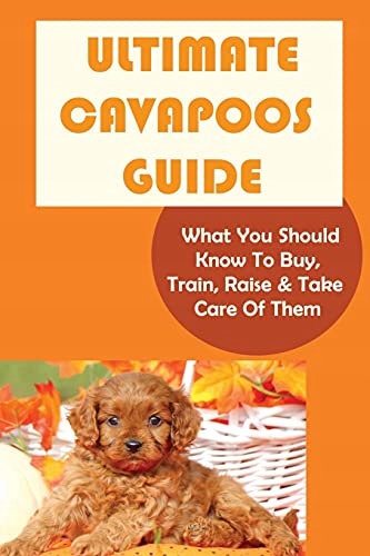 Burden, Carmelo Ultimate Cavapoos Guide: What You - 13473798283 - oficjalne archiwum Allegro