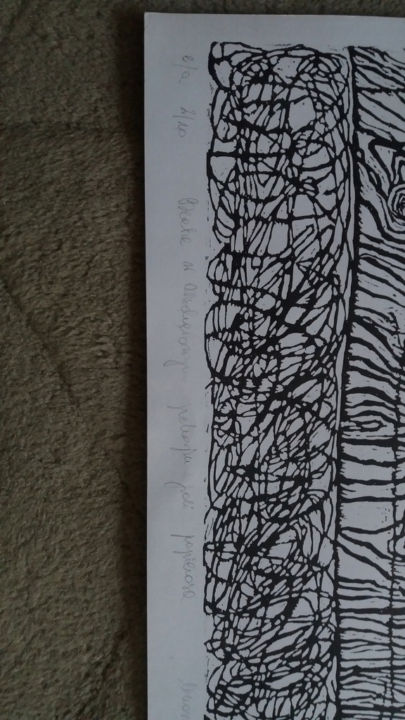 LINORYT - ODBITKA 2/10, 100x70cm - 7917763839 - oficjalne archiwum Allegro