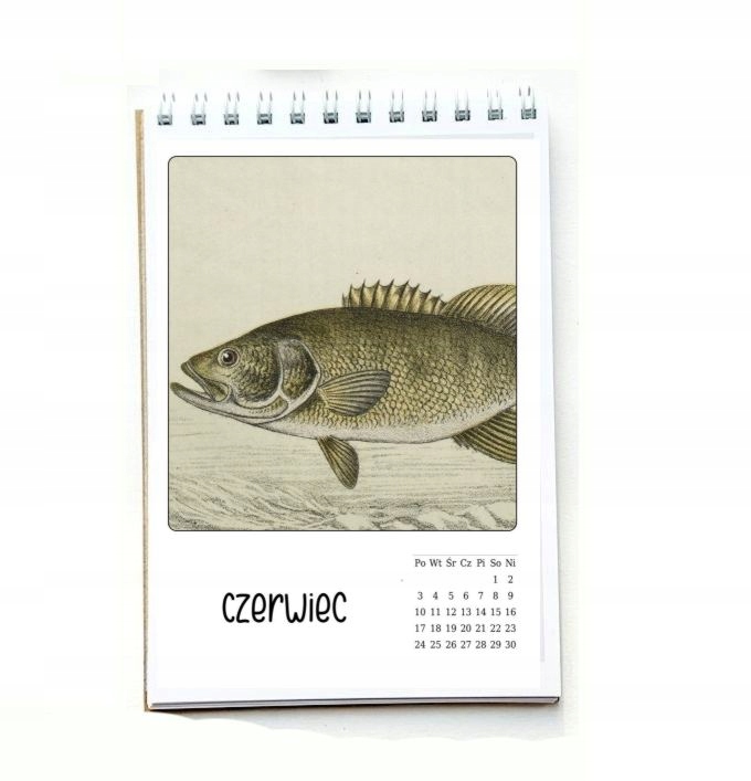 Mini Kalendarz 2024 ryba ryby wędkarz szczupak karp wędkowanie pstrąg ...