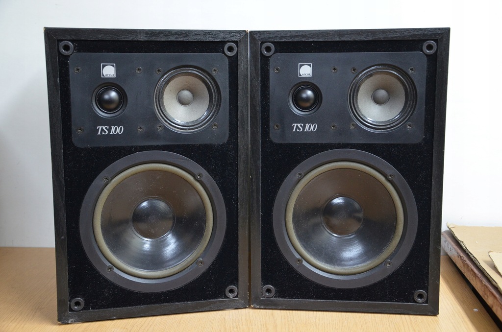 KOLUMNY Stereo ARCUS TS-100 Vifa OKAZJA!! - 10766378694 - oficjalne archiwum Allegro