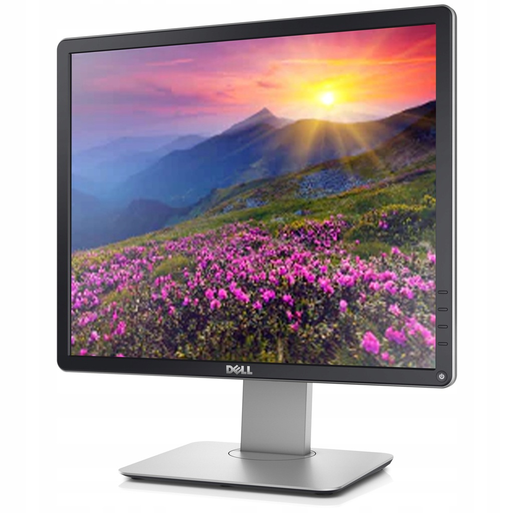 Monitor 19 DELL P1914S SXGA 1280x1024 5:4 IPS LED - 13023899999 ...