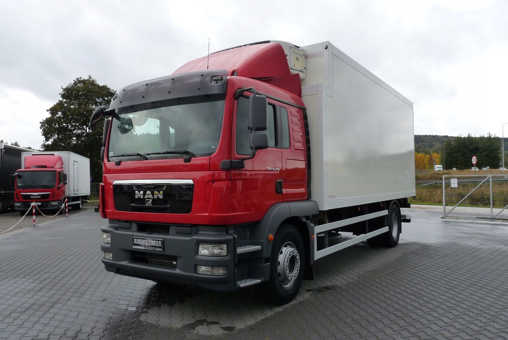 MAN TGM 18.250 CHŁODNIA + WINDA / EURO 5 / AUTOMAT - 12696894237 - oficjalne archiwum Allegro