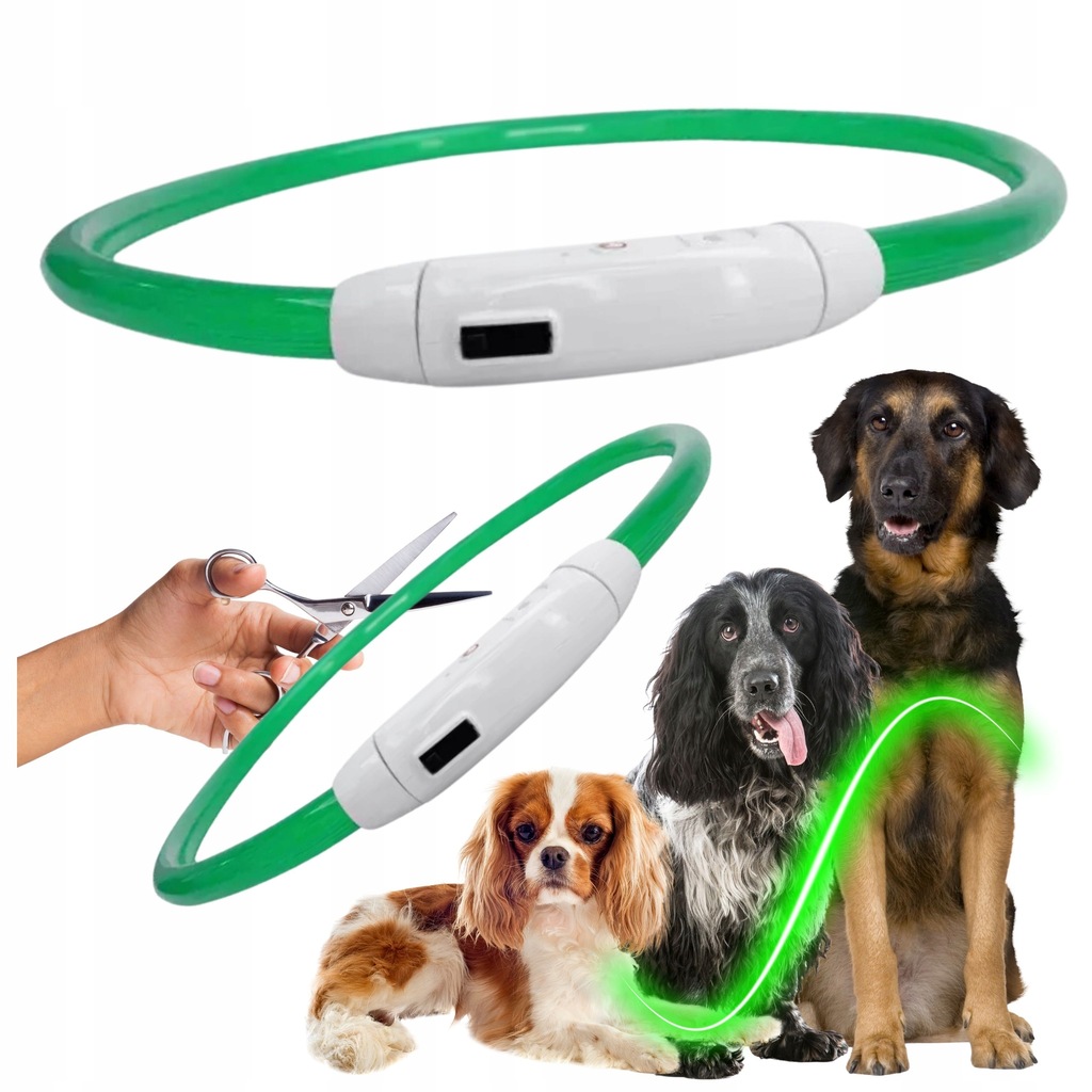 Obroża dla psa LED świecąca w ciemności ładowana usb UNIWERSALNA ...