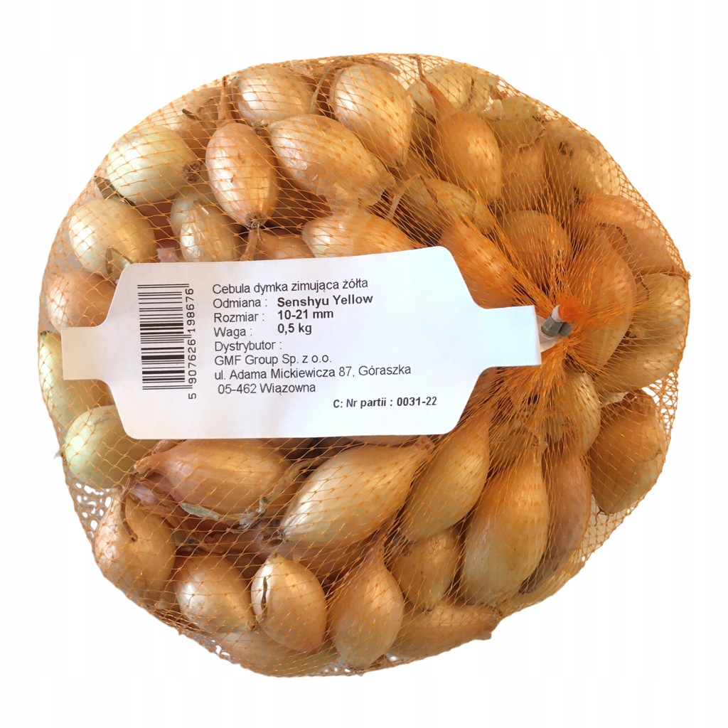 Cebula DYMKA ZIMUJĄCA Senshyu Yellow 0,5kg GMF - 12628878312 ...