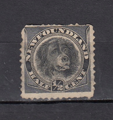 Nowa Funlandia rzadki - 13275602048 - oficjalne archiwum Allegro