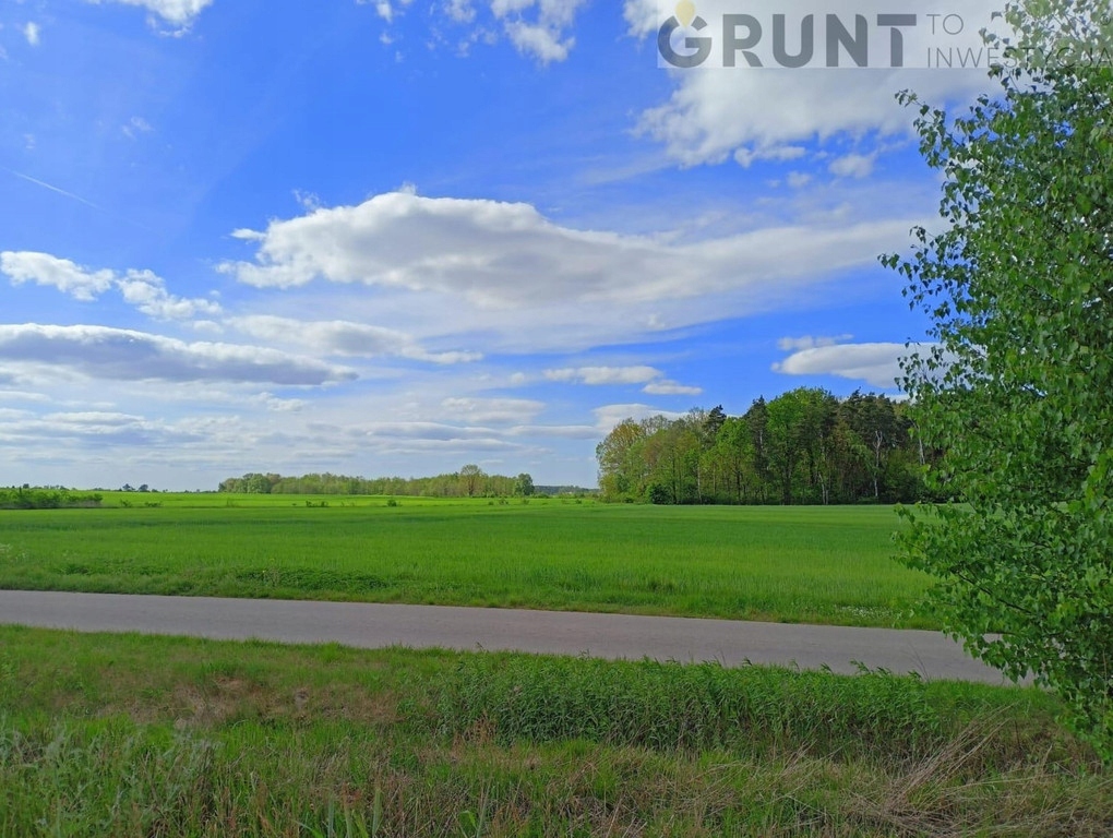 Działka, Gozdowo (gm.), 854 m² - 11254822946 - oficjalne archiwum Allegro