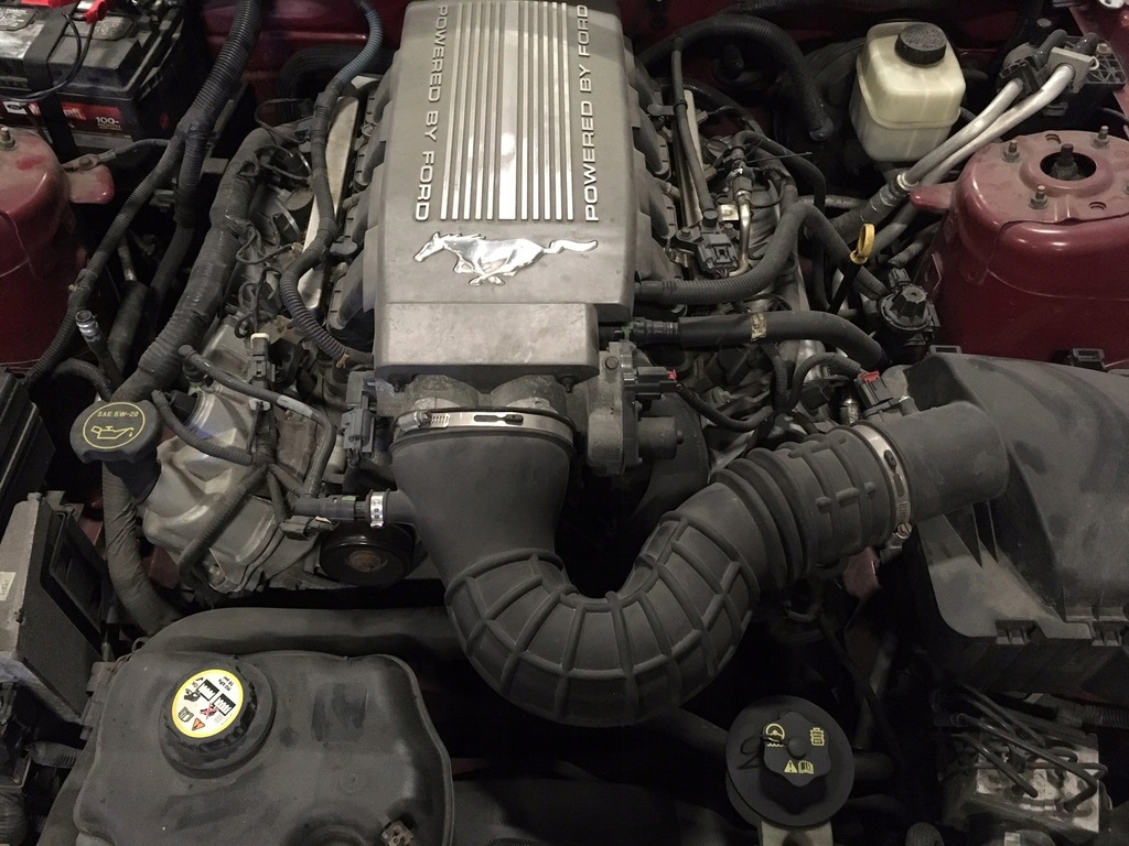 Silnik kompletny Mustang GT 4,6 v8 SWAP - 9667967198 - oficjalne ...