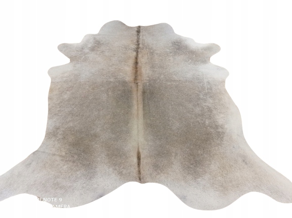 Piękna SKÓRA BYDLĘCA szaro-beżowa Krowa UNIKAT - 13117617890 ...