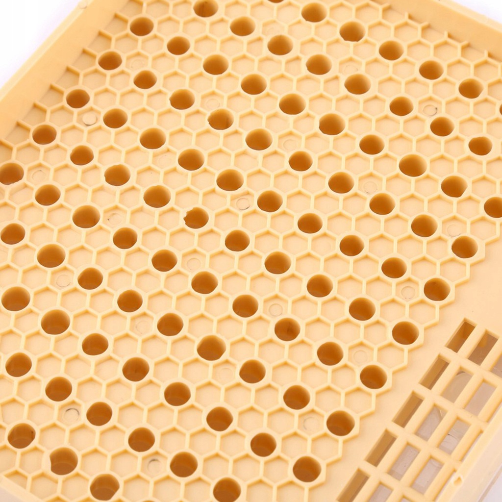 Pszczelarstwo Królowa Hodowli Kubki Box Cell Bar - 13226173112 ...