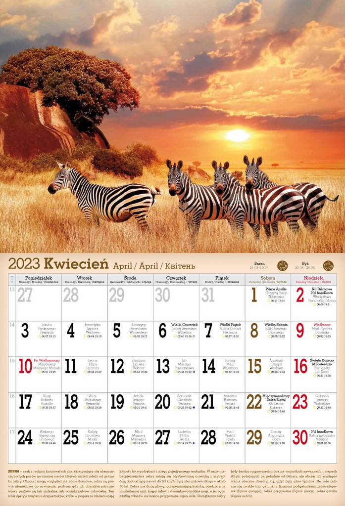 Kalendarz planszowy ścienny 2023 duży - 12796803606 - oficjalne archiwum Allegro