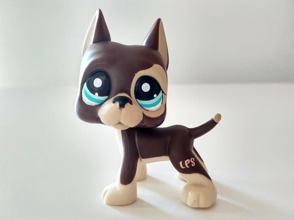 Littlest Pet Shop dog LPS Logan Nowy #1519 - 8021540750 - oficjalne ...
