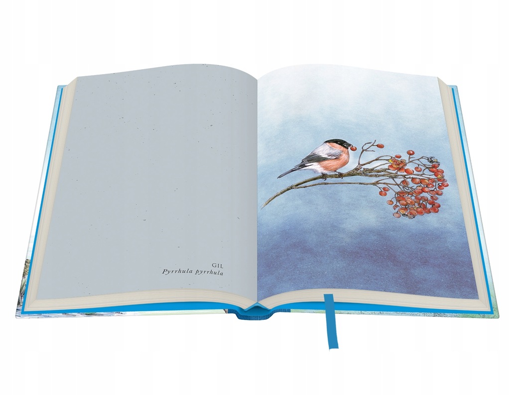 Купить Планировщик КАЛЕНДАРЬ ПТИЦ 2023 ГОД ПРИРОДЫ календарь отзывы фото и характеристики на