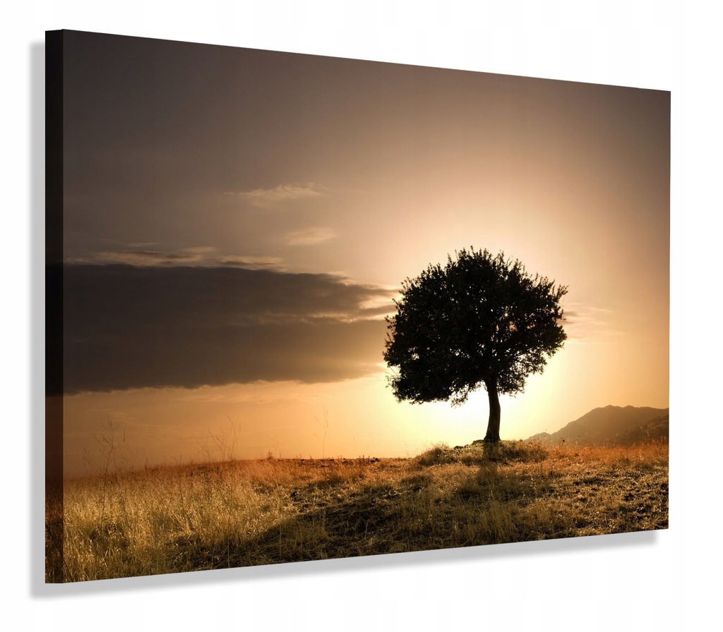 OBRAZ ZACHÓD SŁOŃCA DRZEWO OBRAZY CANVAS 40x30 - 12797545988 ...
