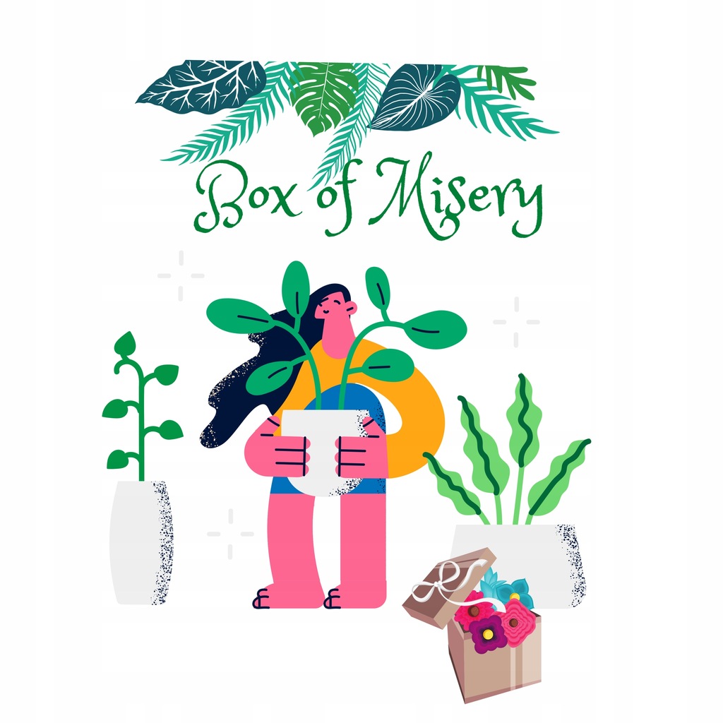 Box of Misery uratuj rośliny paczka niespodzianka - 12335829494 ...