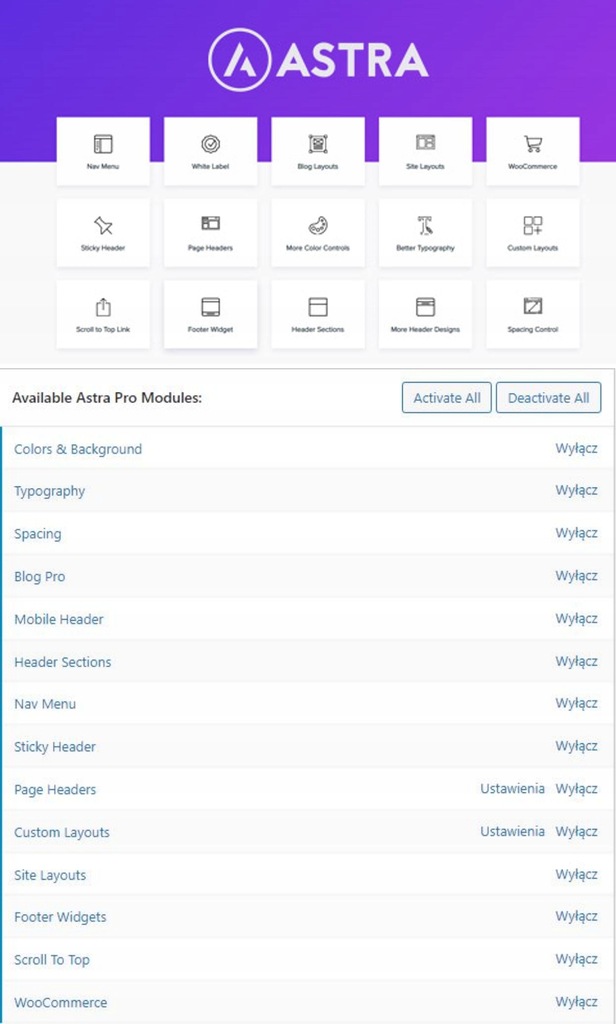 Wtyczka (plugin) Astra Pro Addon. WordPress - 12080210586 - oficjalne archiwum Allegro