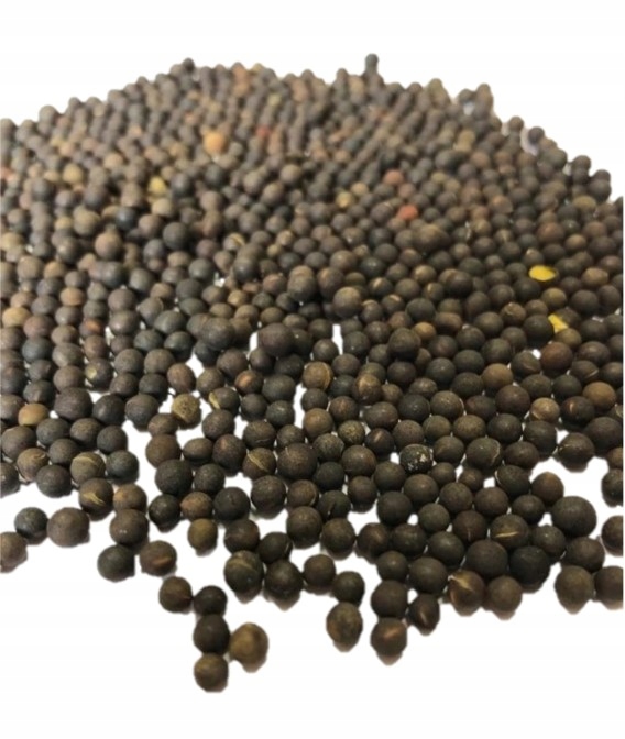 WYKA KOSMATA, OZIMA 15kg - 9563828282 - oficjalne archiwum Allegro WYKA KOSMATA, OZIMA 15kg - 9563828282 - oficjalne archiwum Allegro