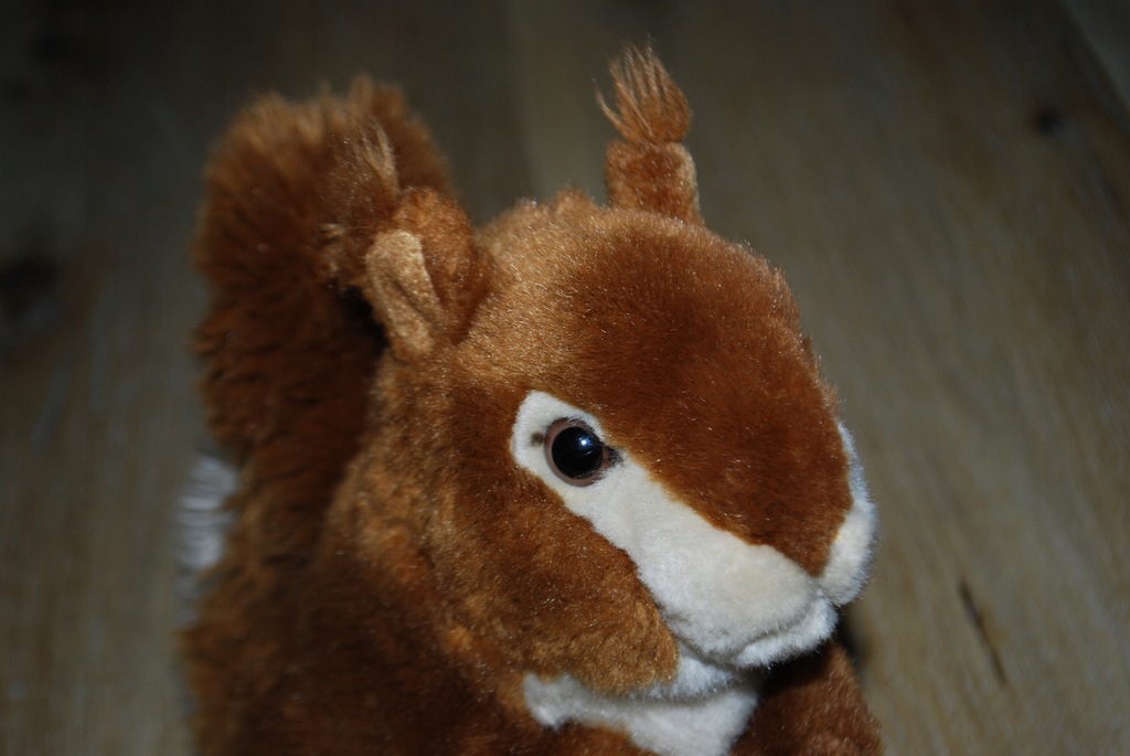 pluszak maskotka fajna wiewiórka ruda kitka Rappa - 11966767101 ...