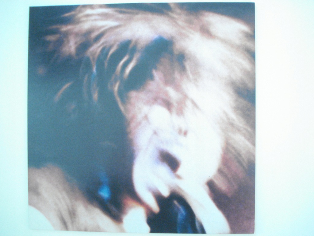 Samhain (DANZIG) - Final Descent.LP - 11995345610 - oficjalne archiwum ...