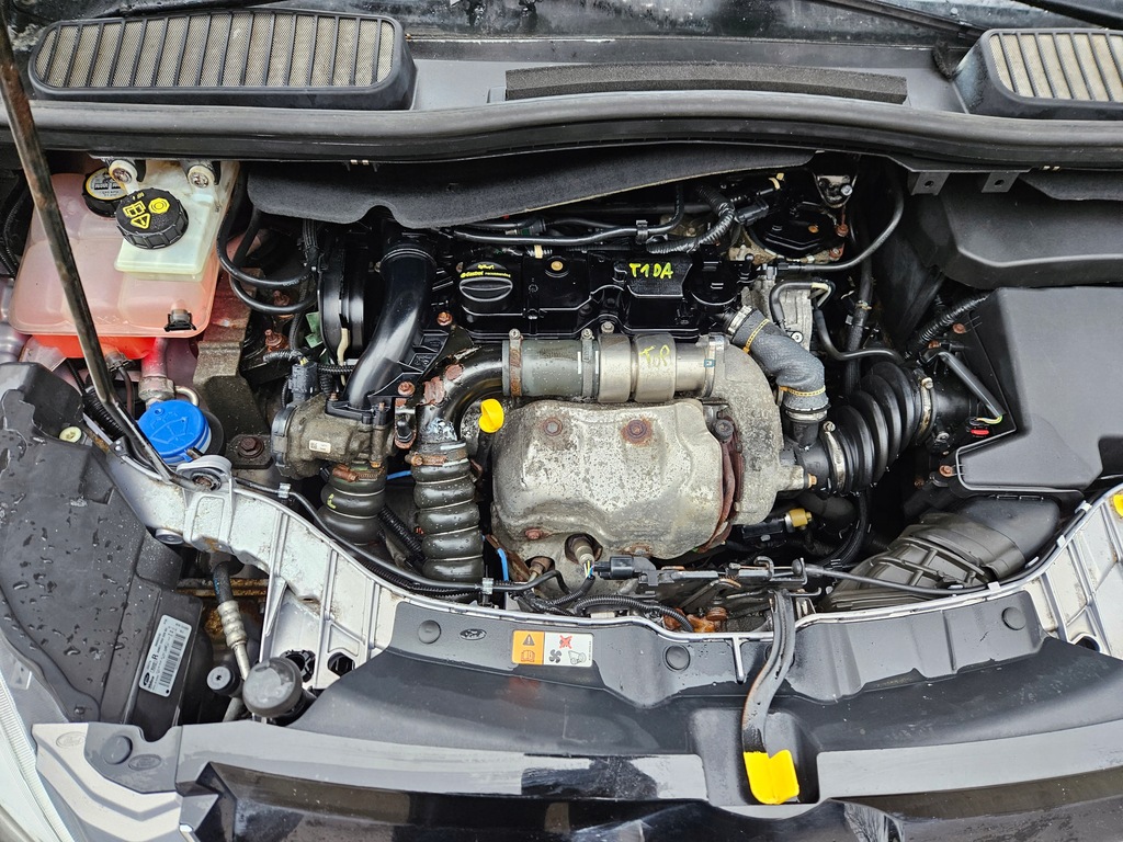 SILNIK T1DA 1.6 TDCI C MAX MK2 FOCUS MK3 MONDEO 4 T1BA T1WA T3DA T3DB T1DB - 14866165191 ...