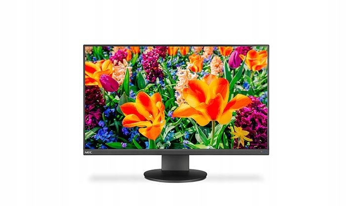 Monitor NEC Multisync E243F IPS DP USB-C FullHD - 12516525169 - oficjalne archiwum Allegro