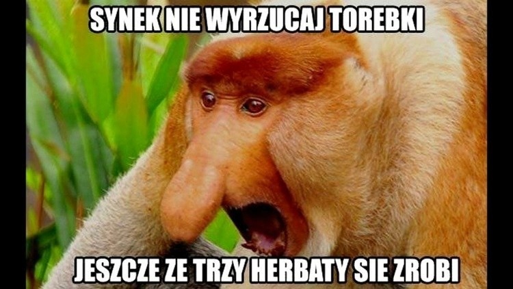 Maska lateksowa małpa JANUSZ NOSACZ POLSKI POLAK - 7876101673 ...