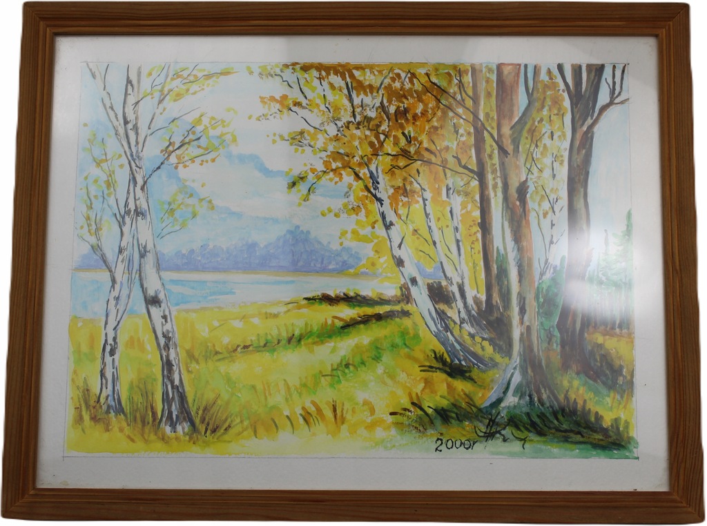 Pejzaż „ Las jezioro”, akwarela sygnowany - 13140533999 - oficjalne ...