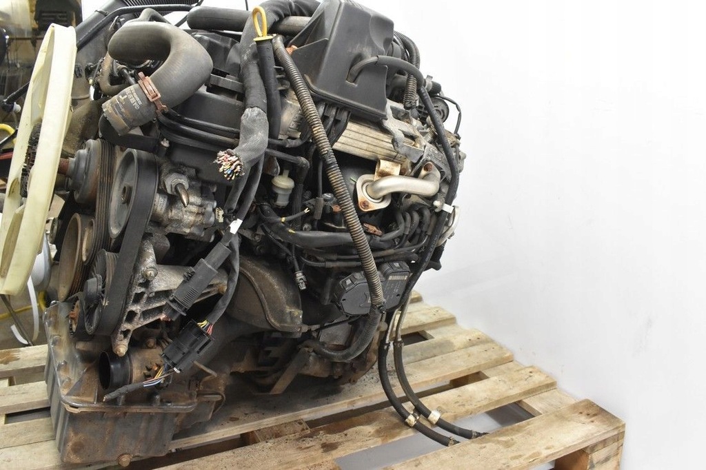 SILNIK ENGINE 651955 2.2D SPRINTER W906 KOMPLETNY - 11897428791 ...