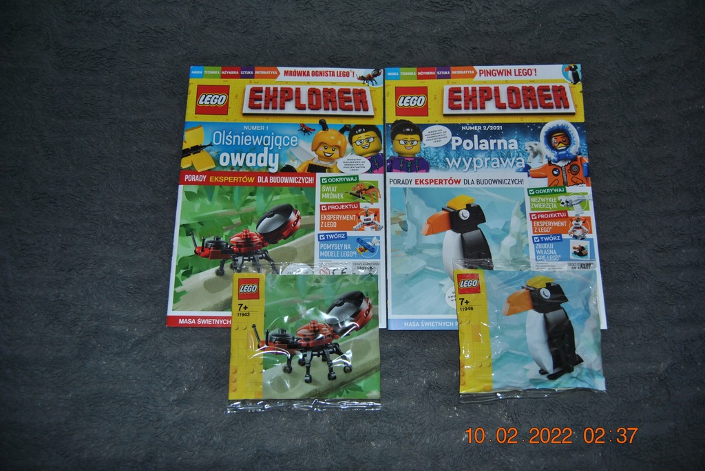 Lego Explorer Magazyn Owady Polarna Wyprawa 2021 - 11814518963 ...