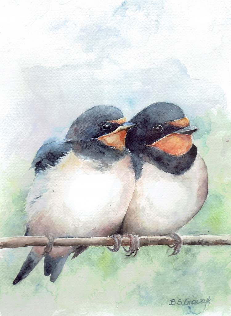 Ptak , ptaki jaskółki - akwarela (z passe-partout) - 13216792561 ...