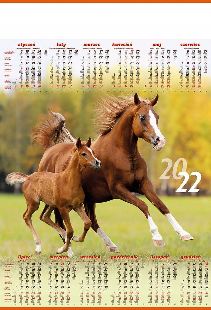 B1 KALENDARZ 2022 PLAKAT PLAKATOWY 67x98 KONIE - 11027100513 ... B1 KALENDARZ 2022 PLAKAT PLAKATOWY 67x98 KONIE - 11027100513 ...