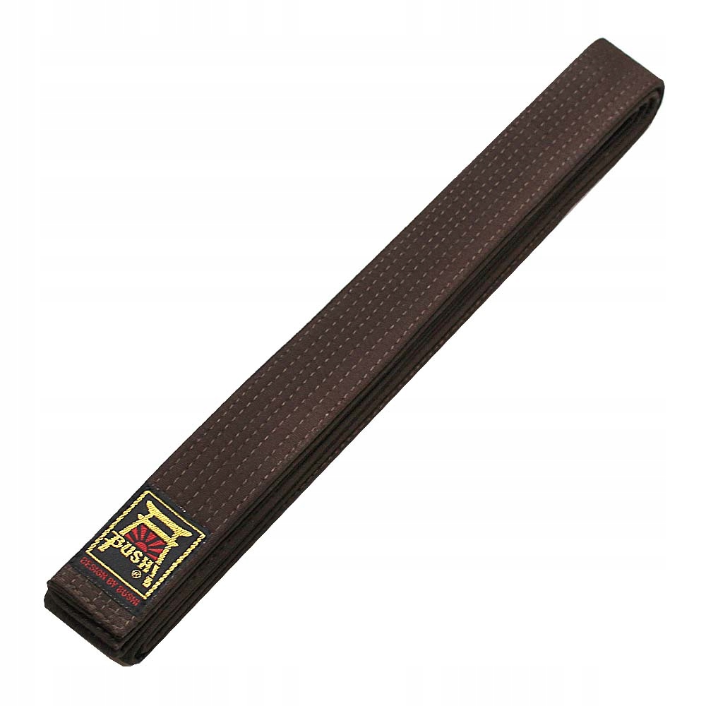 Pasy Pas Brązowy Aikido Judo Karate Master 280 cm - 8029930858 ...