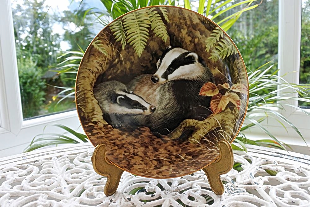 Talerz Rok w lesie - borsuki w czerwcowy poranek - 14429437025 ...