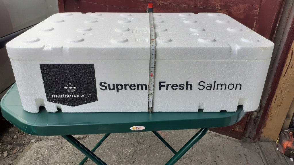 STYROBOX do transportu ryb i roślin 60x40x17 - 13345790473 - oficjalne ...