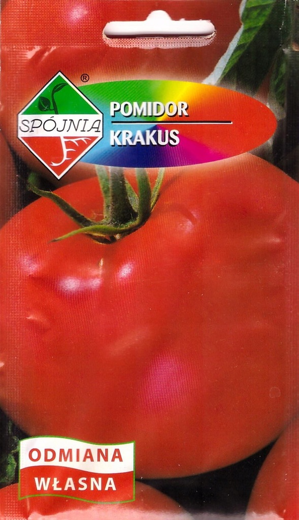 Pomidor gruntowy wysoki KRAKUS - 11806312473 - oficjalne archiwum Allegro