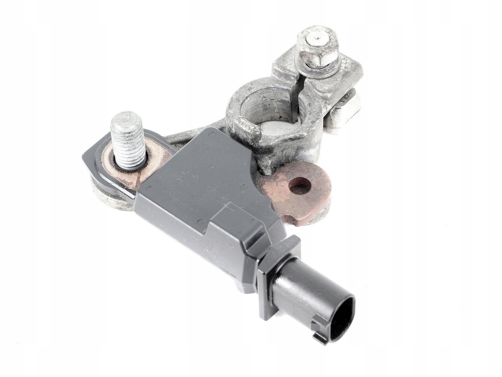 KLEMA MINUSOWA BEZPIECZNIK PEUGEOT 407 508 - 13143115288 - oficjalne ...