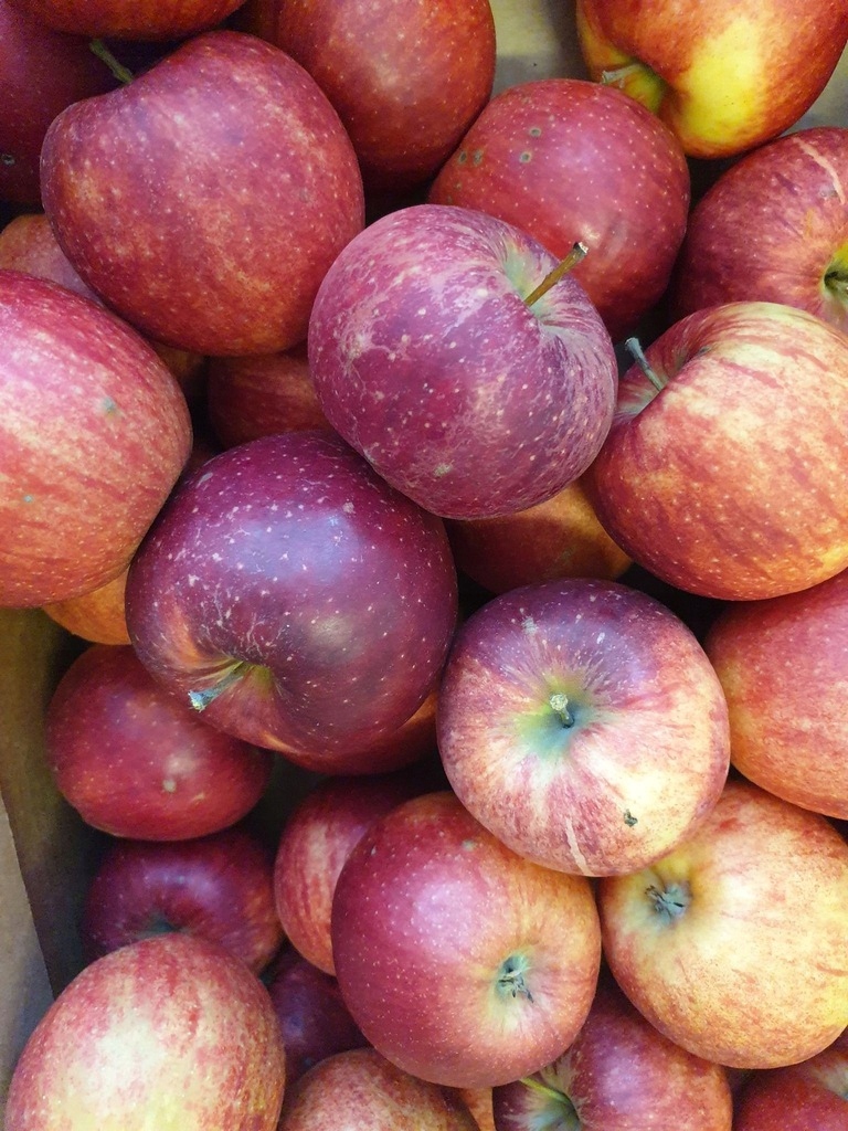 Jabłko LOBO 1kg - 11751160804 - oficjalne archiwum Allegro