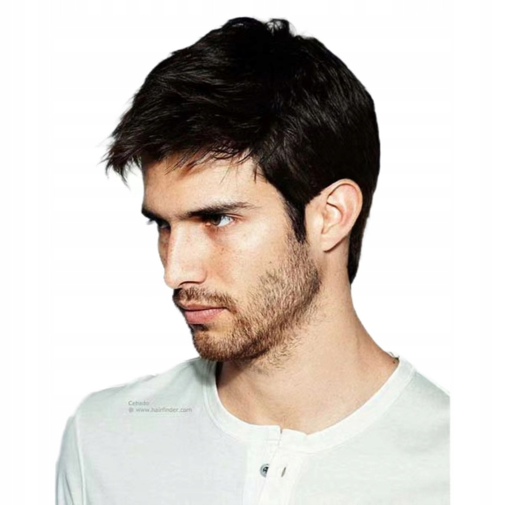 Peruki Męskie Włosy Peruke + Czapka Z Peruką - 13485324123 - oficjalne ...