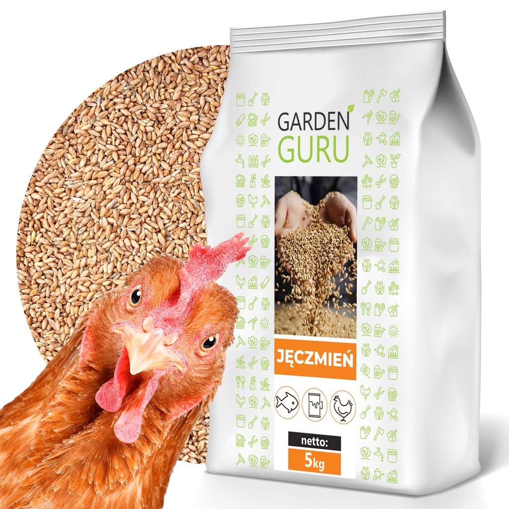 JĘCZMIEŃ ziarno karma PASZA zboże KUR gołębi 5kg - 12589798291 - oficjalne archiwum Allegro