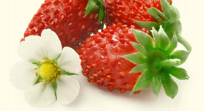 Poziomka regina poziomki słodki owoc - 13525181724 - oficjalne archiwum ...