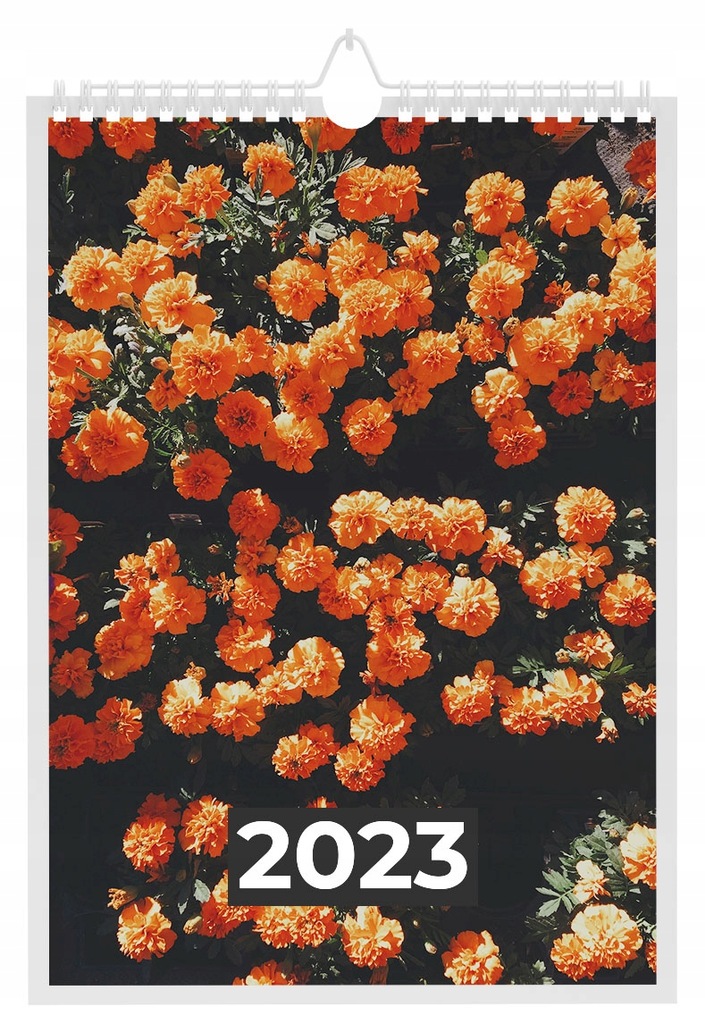 Kalendarz KWIATY 2023 ścienny 13 stron A4 - 12587140003 - oficjalne archiwum Allegro