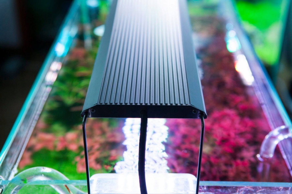 Купить Chihiros RGB A601 Plus 60 см 45 Вт с контроллером: отзывы, фото ...