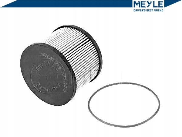 FILTR PALIWA CITROEN C4 Grand Picasso I 2.0 HDi 16 - 8152495775 - oficjalne archiwum Allegro