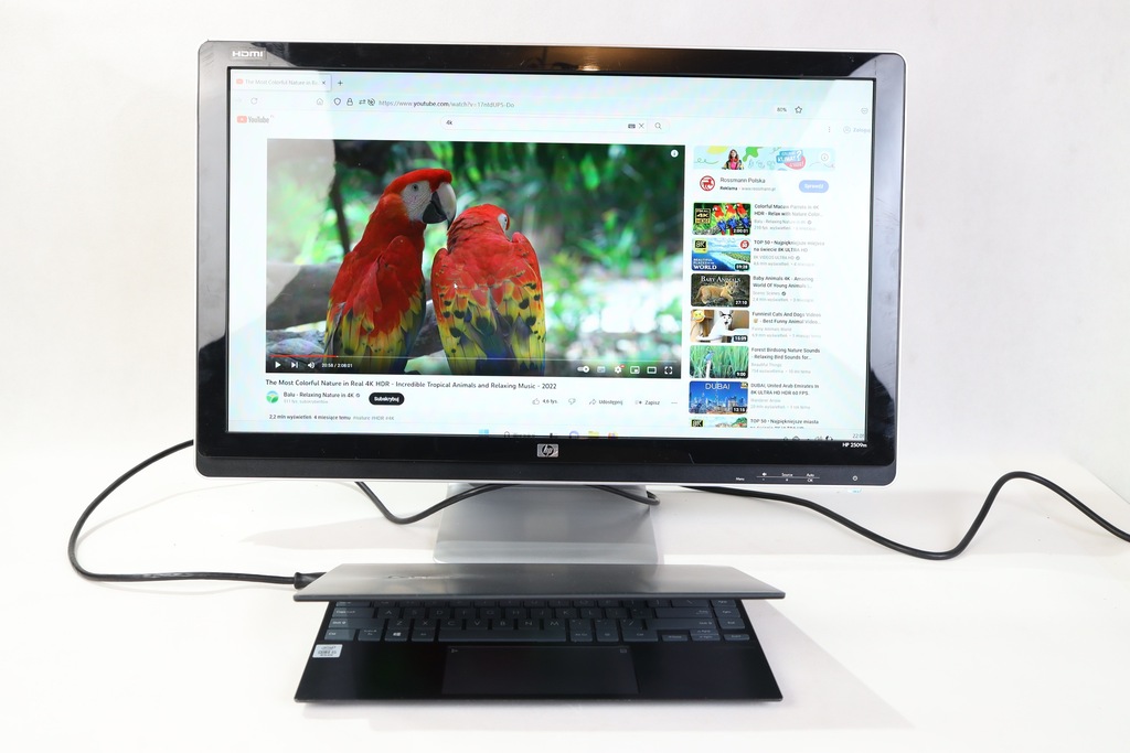 Monitor HP 2509M 25" Widescreen Full HD HDMI - 13102354210 - oficjalne ...