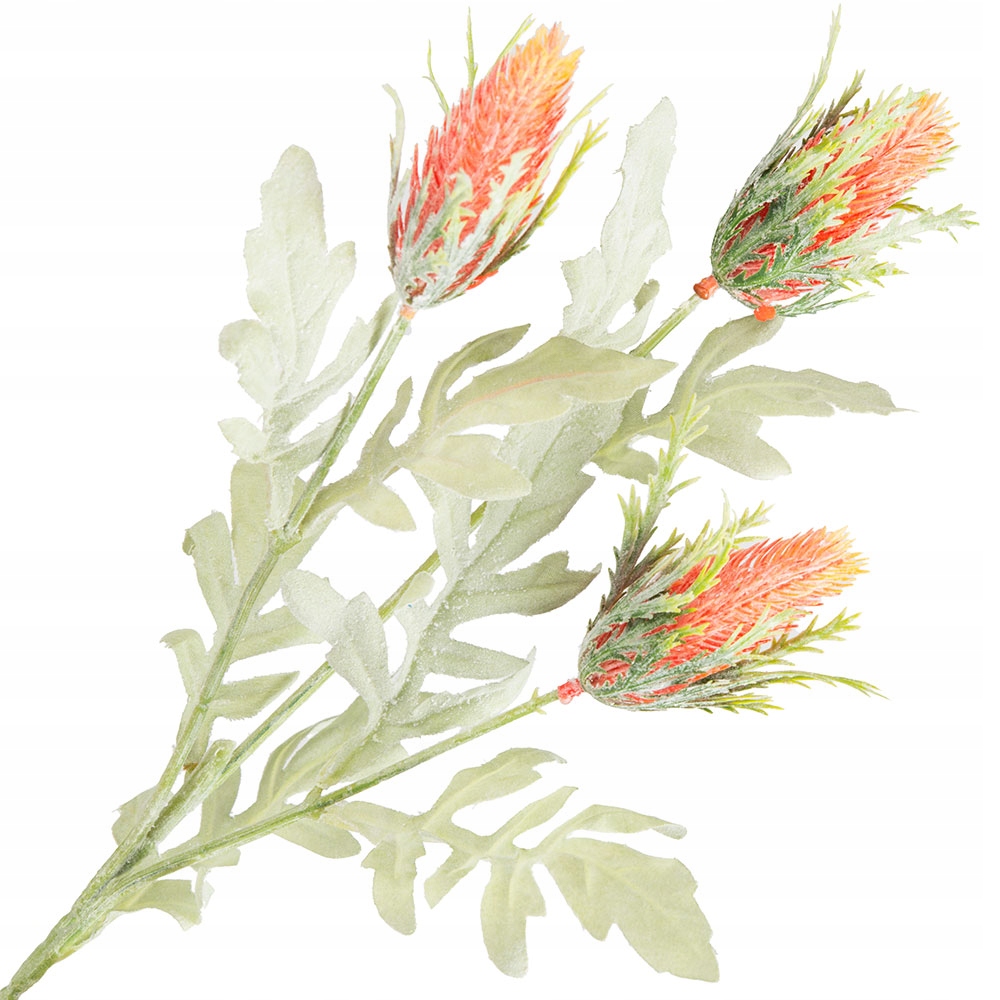 Gałązka Oset Ozdobny Sztuczne Gałązki Kwiaty - 11221398617 - oficjalne ...