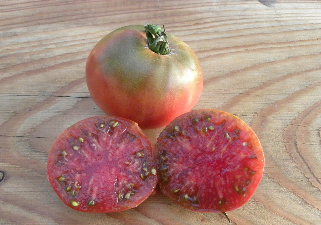 Pomidor Faelan's First Snow Variegated unikat!!! - 14578321907 ...