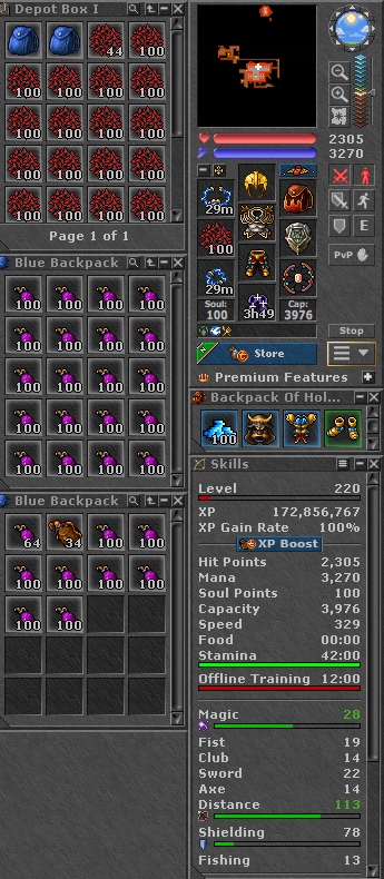 TIBIA 220 RP + MONZA + EQ + FREE RK - 12605638547 - oficjalne archiwum ...