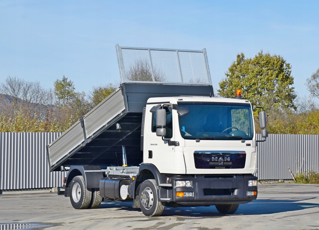 MAN TGM 12.250 * 3 - Stronna Wywrotka 4,65 m * STAN BDB - 14669843200 ...