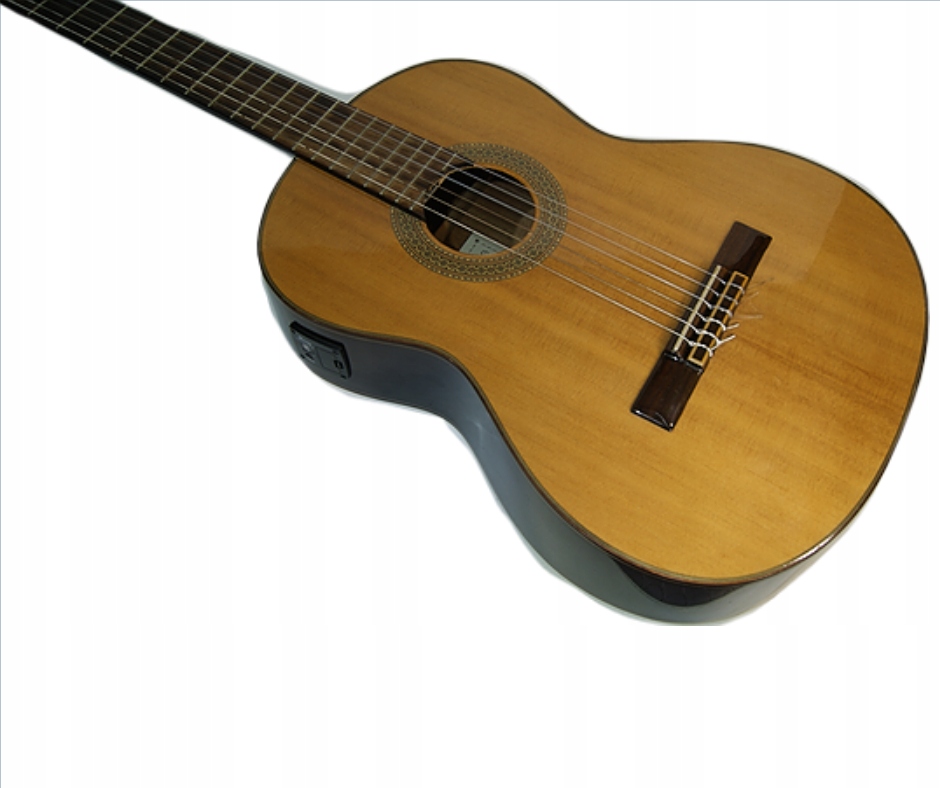 Купить Сальвадор Ибанез G100-NT-2Y-02 Гитара: отзывы, фото и характеристики на Aredi.ru ...